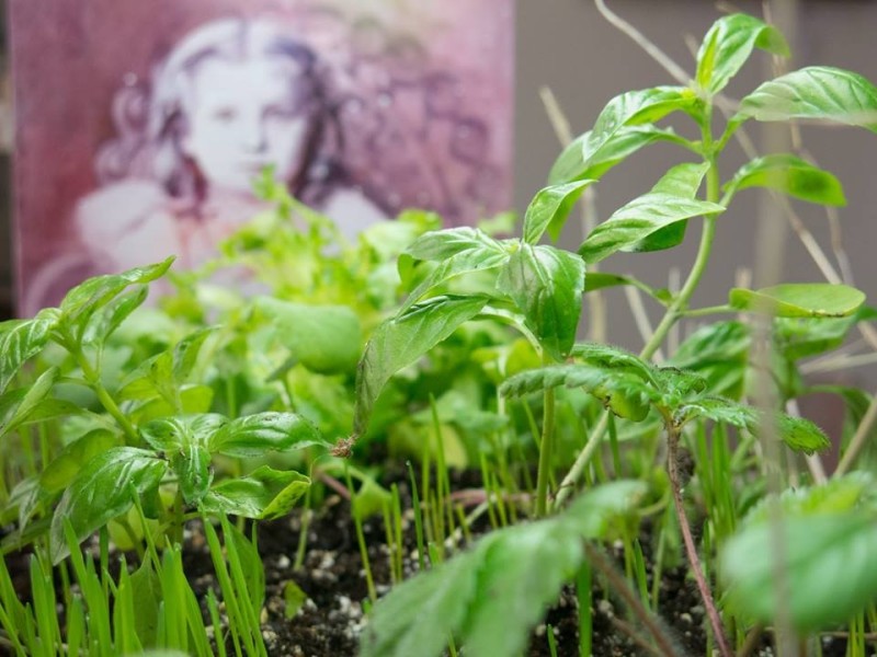 Interview: Melanie Vote • ART (inter) NEW YORK